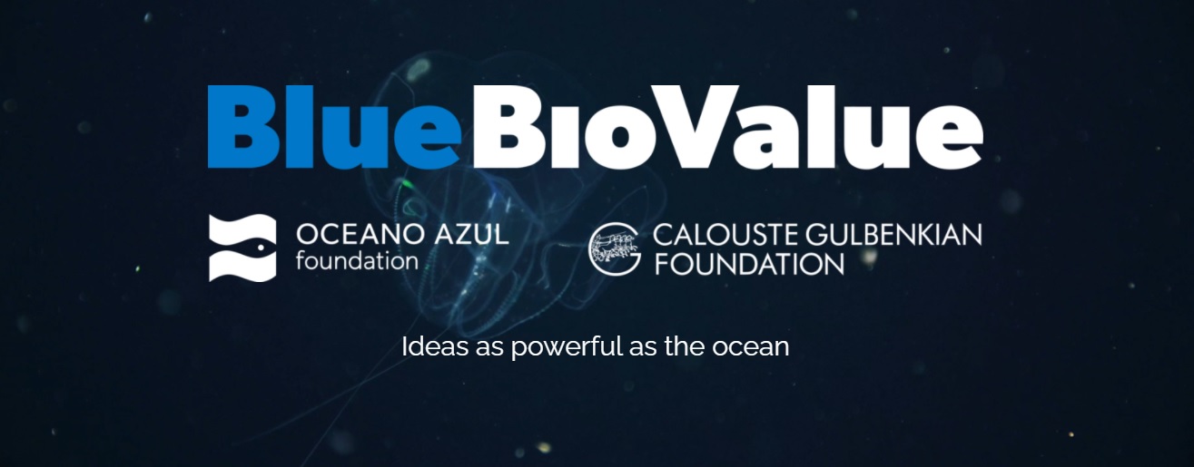 Blue Bio Value acelera 18 start-ups de 10 nacionalidades